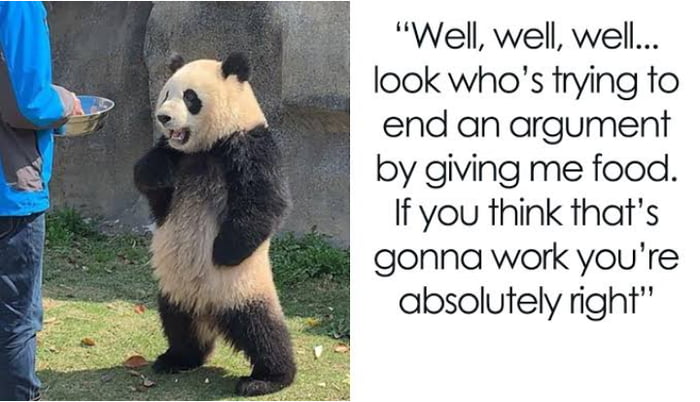 "You're absolutely right" - 9GAG