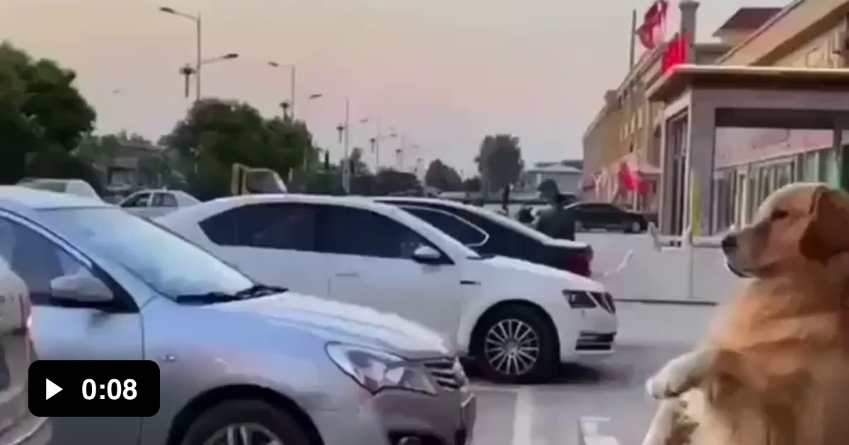 Good job dawg - 9GAG