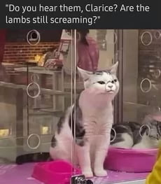 Silence of the mice - 9GAG