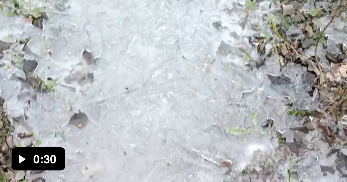 Walking on ice in a forest - 9GAG