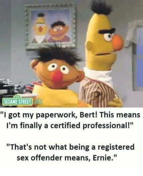 Show me your best Bert and Ernie meme - 9GAG