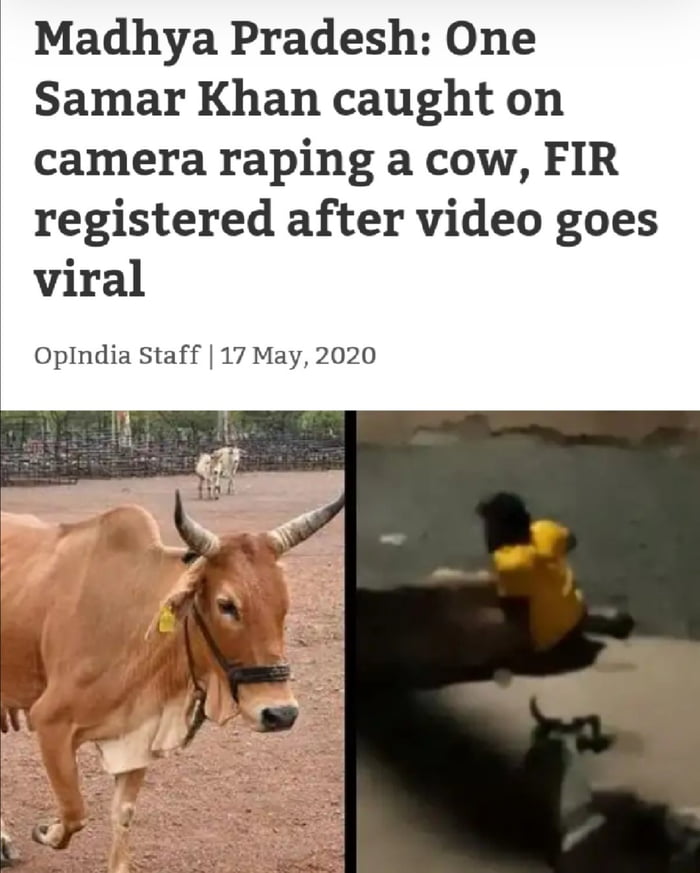 Damn , even a cow - 9GAG