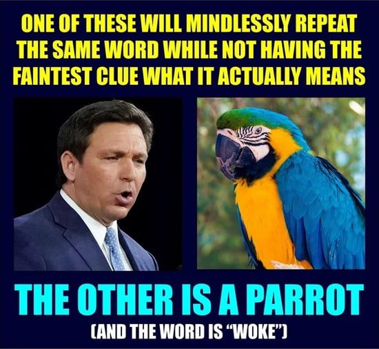 Almost the same picture - 9GAG