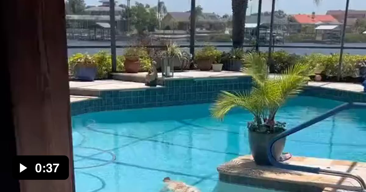 It is too hot, just chillin' - 9GAG