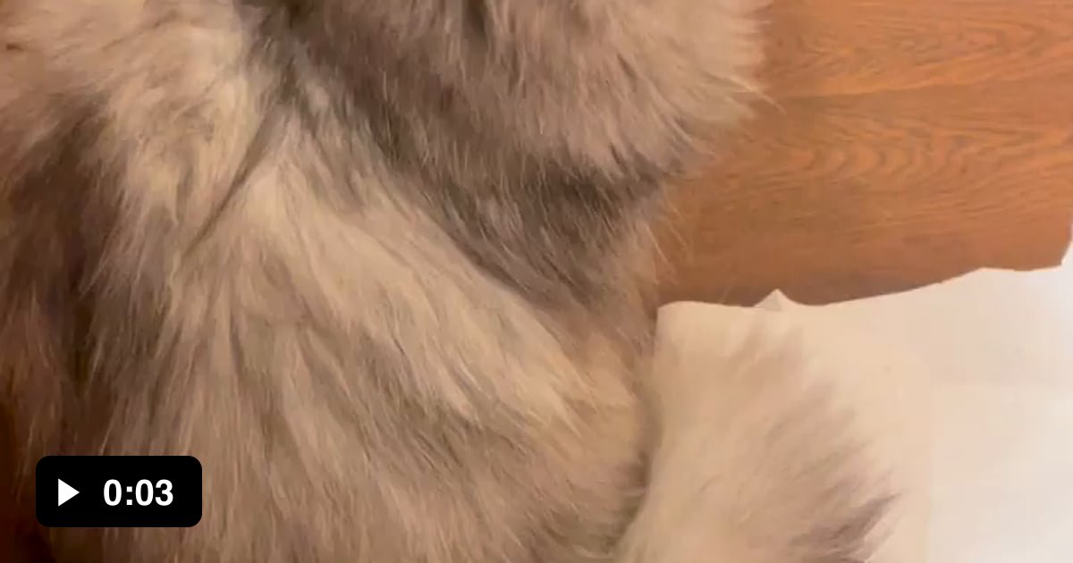 Edgar is very dramatic - 9GAG