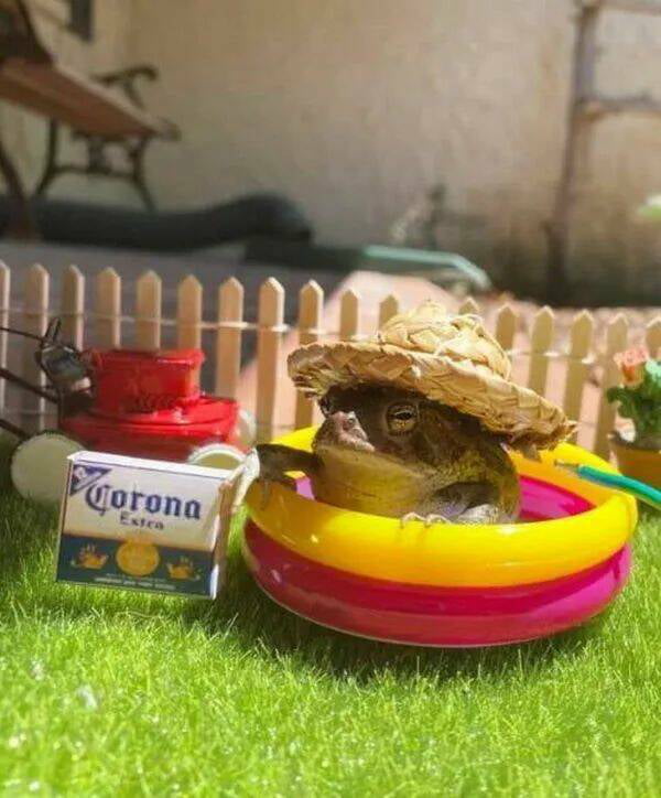 Cool in the pool. - 9GAG