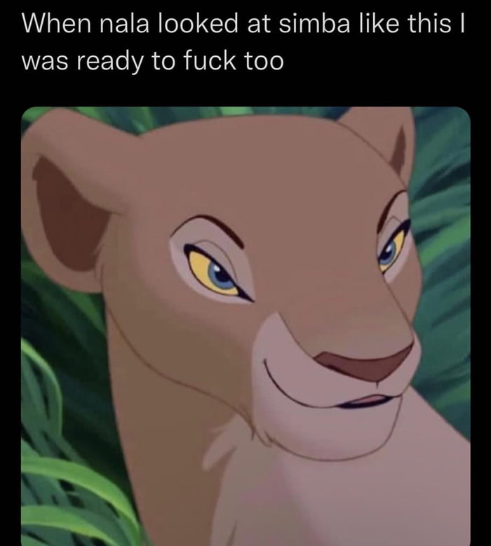 Nala got them come get me eyes. - 9GAG