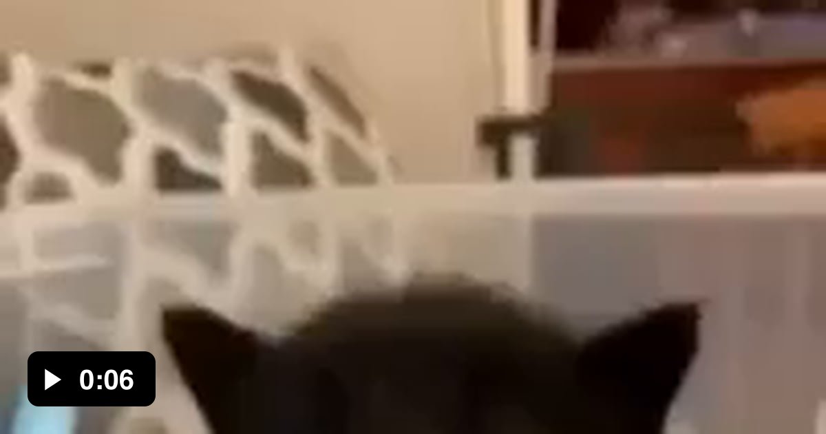 Smol void trying to break out of jail - 9GAG