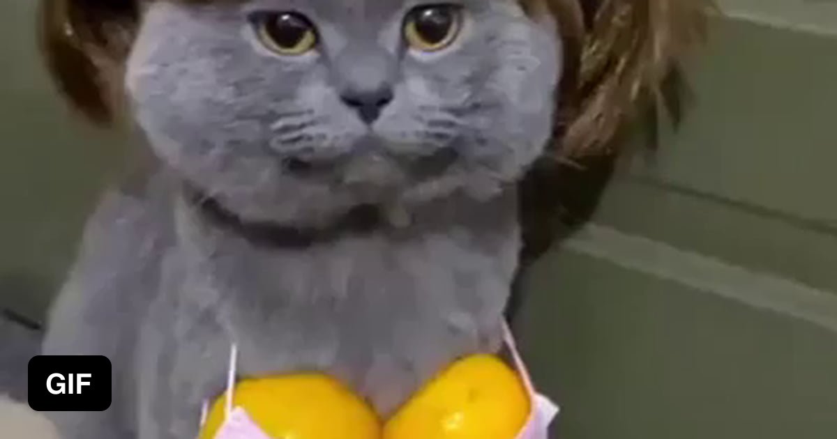 Who's a pretty kitty? - 9GAG