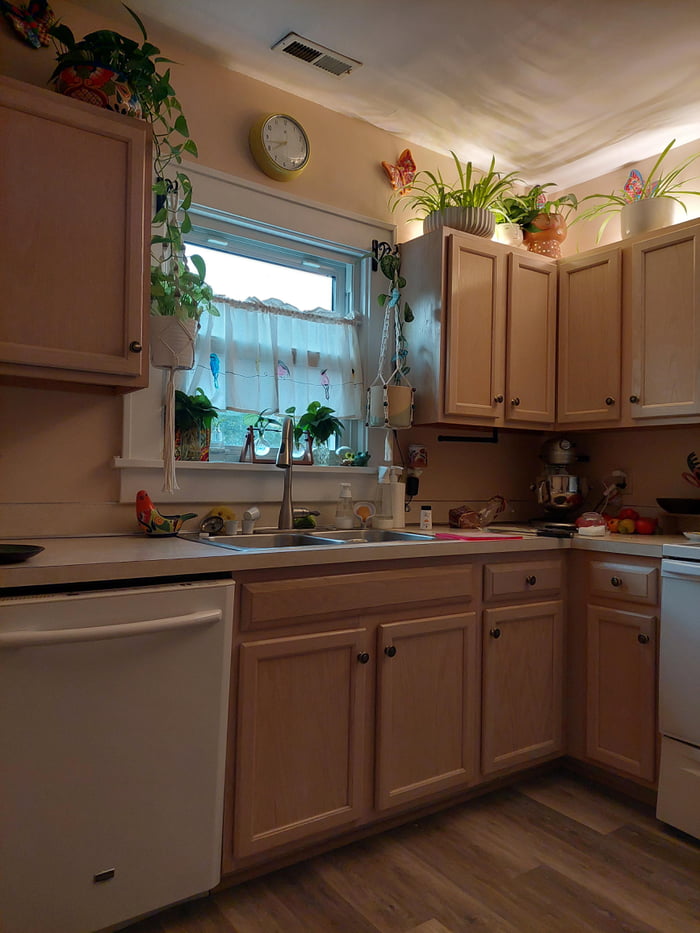 Good morning, kitchen - 9GAG