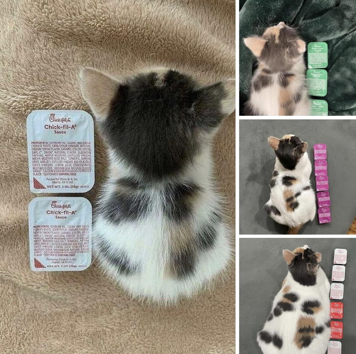 Proof That Time & Efforts Help Reform Criminals - 9GAG