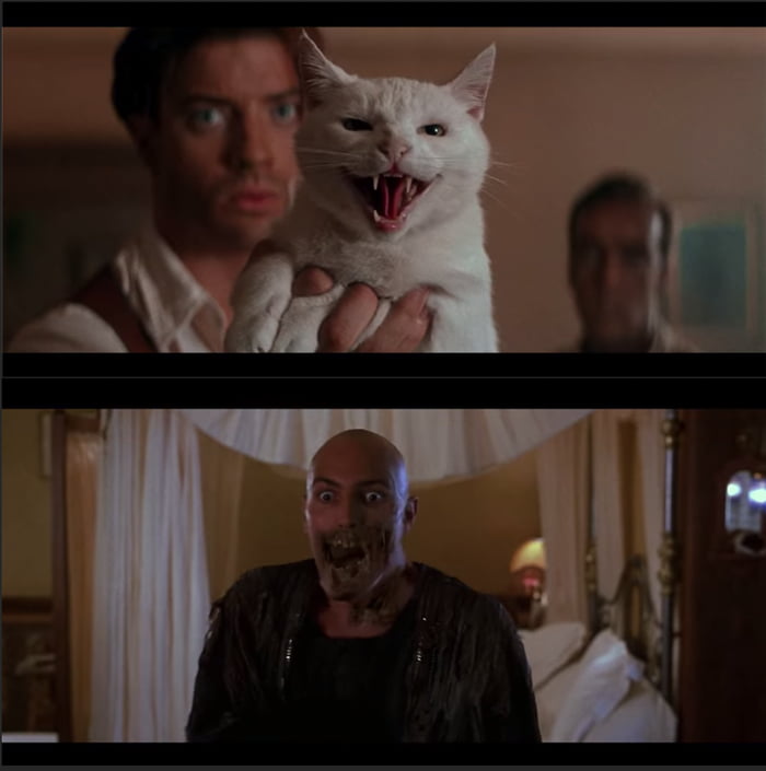 In the movie The Mummy, They know that the mummy is scared of cats. Why ...