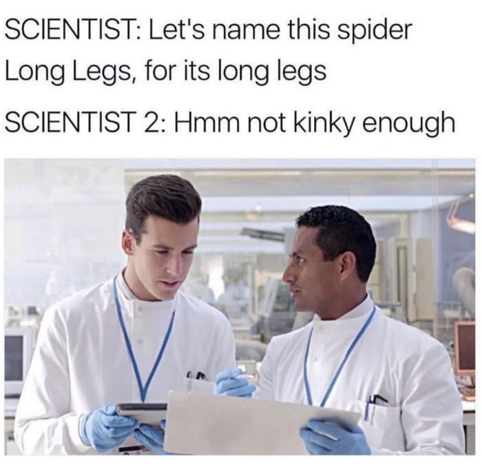 Kinky - 9GAG