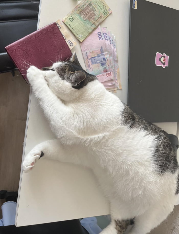 What about the banker's cat that will take all your money for its own ...