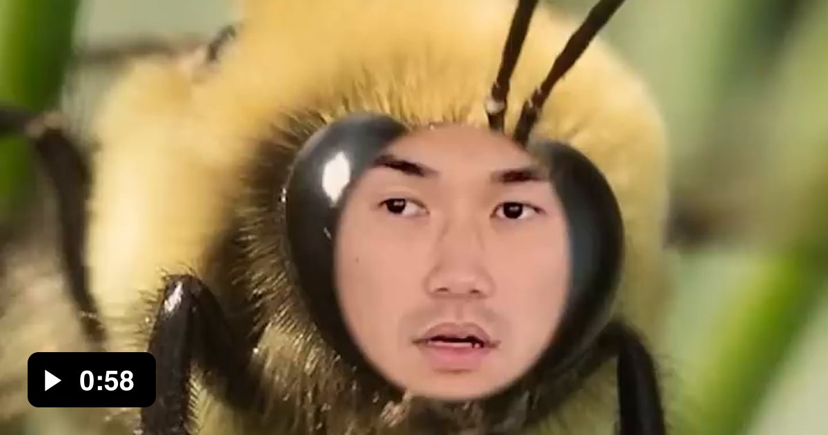 A short and witty title does the trick - 9GAG