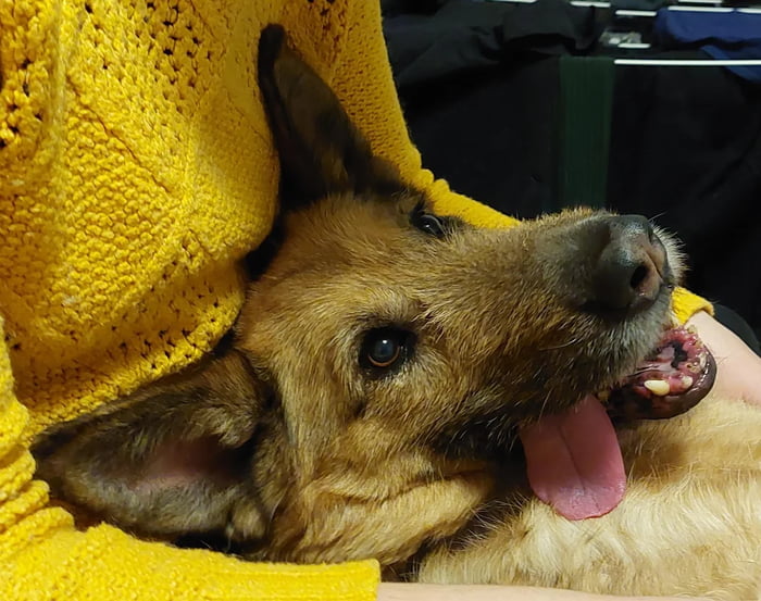 No thoughts, head empty - 9GAG