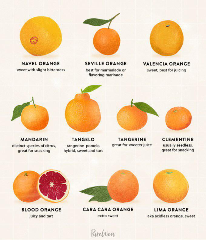 A cool guide to Oranges - 9GAG