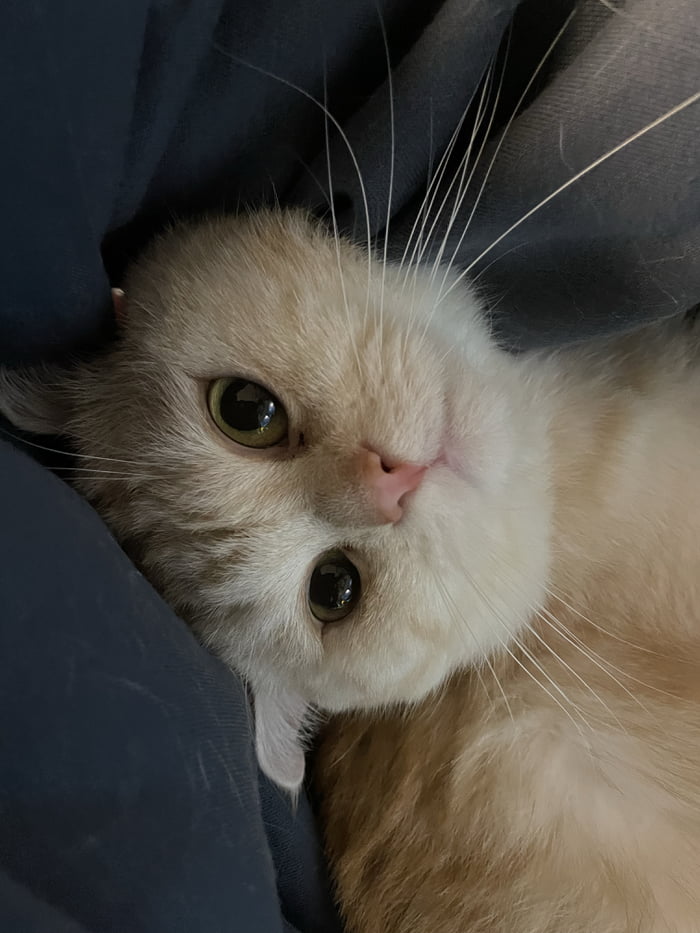 A brake from all the war posts - 9GAG