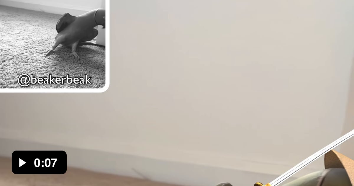 So anyway, I start blasting - 9GAG