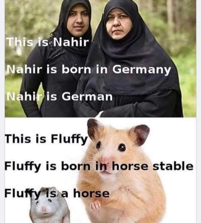 Who calls their horse Fluffy? - 9GAG