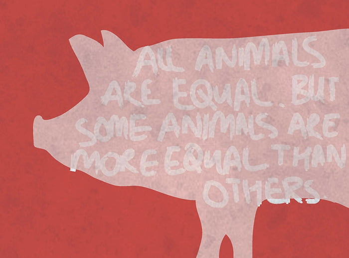 Napoleon the almighty Pig once said - 9GAG