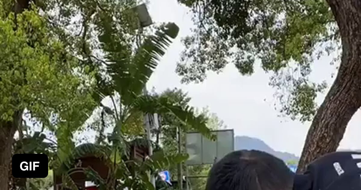 This guy’s beautiful sculpture using a tree bark - 9GAG