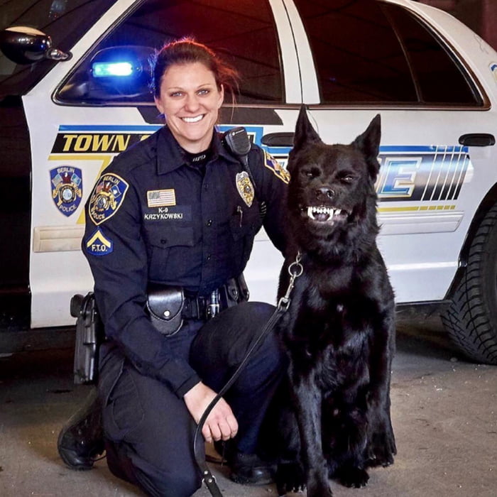 A Police Woman and Her Smiling Police Dog - 9GAG