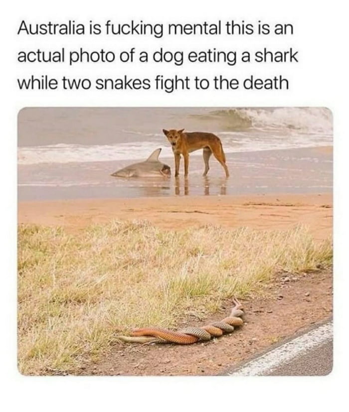 Just Austrian things - 9GAG