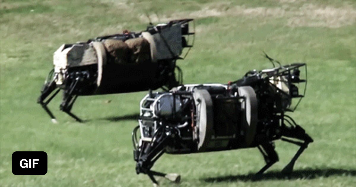 This robot cow designed by DARPA to carry heavy equipment for the ...