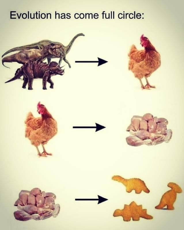Evolution is a circle - 9GAG