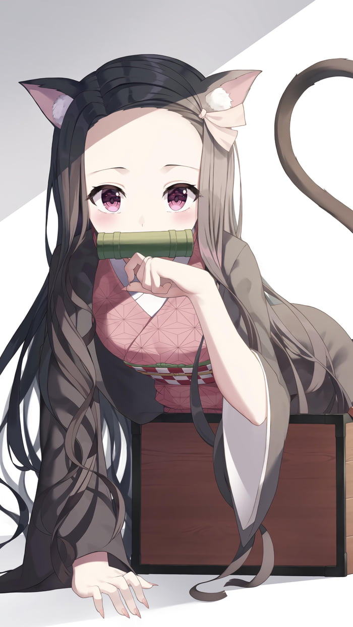 Neko Nezuko Kamado 9gag 1418