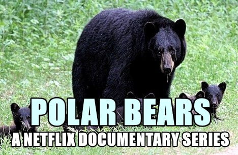 POLAR BEARS A NETFLIX DOCUMENTARY SERIES! - 9GAG