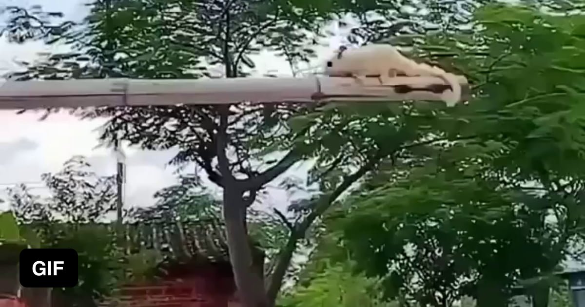 Hug 9gag