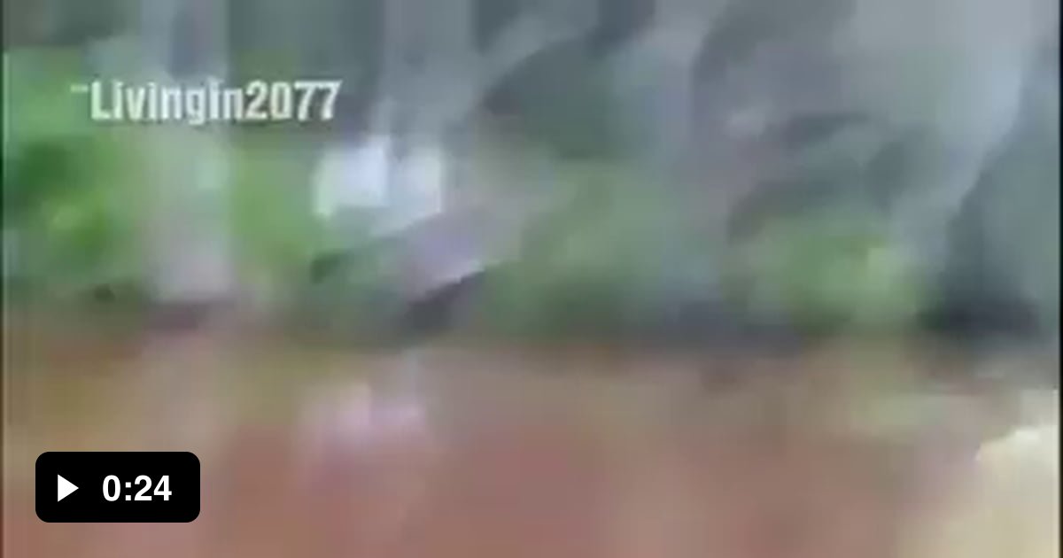 Closed forest - 9GAG