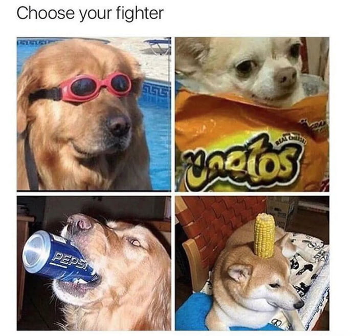 I choose pepsi dog. - 9GAG