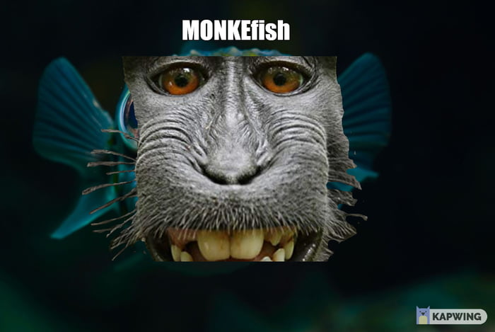 So there is Catfish,Dogfish, so why not a MONKE FISH - 9GAG