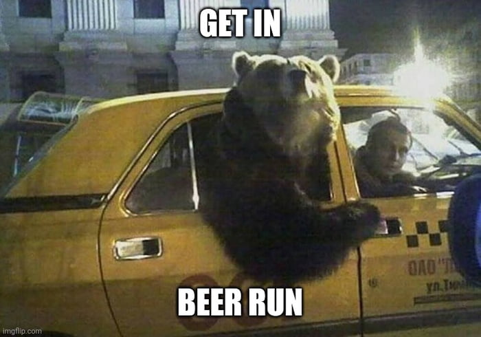 Bear run - 9GAG