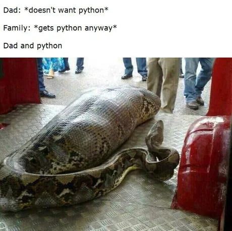 Holup, Pet Snake and Dad...! - 9GAG