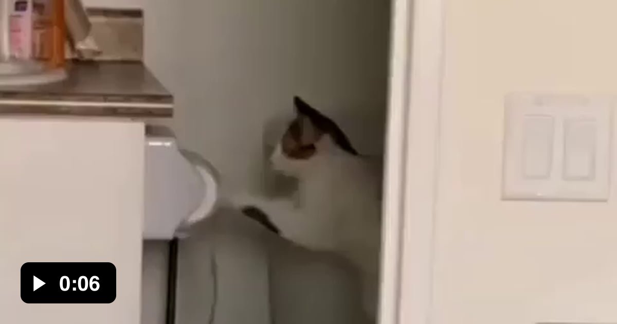 It's time to mess something up!!!! - 9GAG