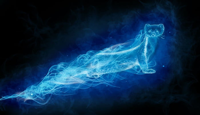 Pottermore Said my patronus is a weasel, so I Made this... - 9GAG