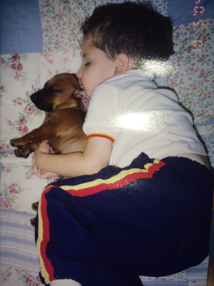The goodest good boy passed away recently. He was 16 and he’ll be ...
