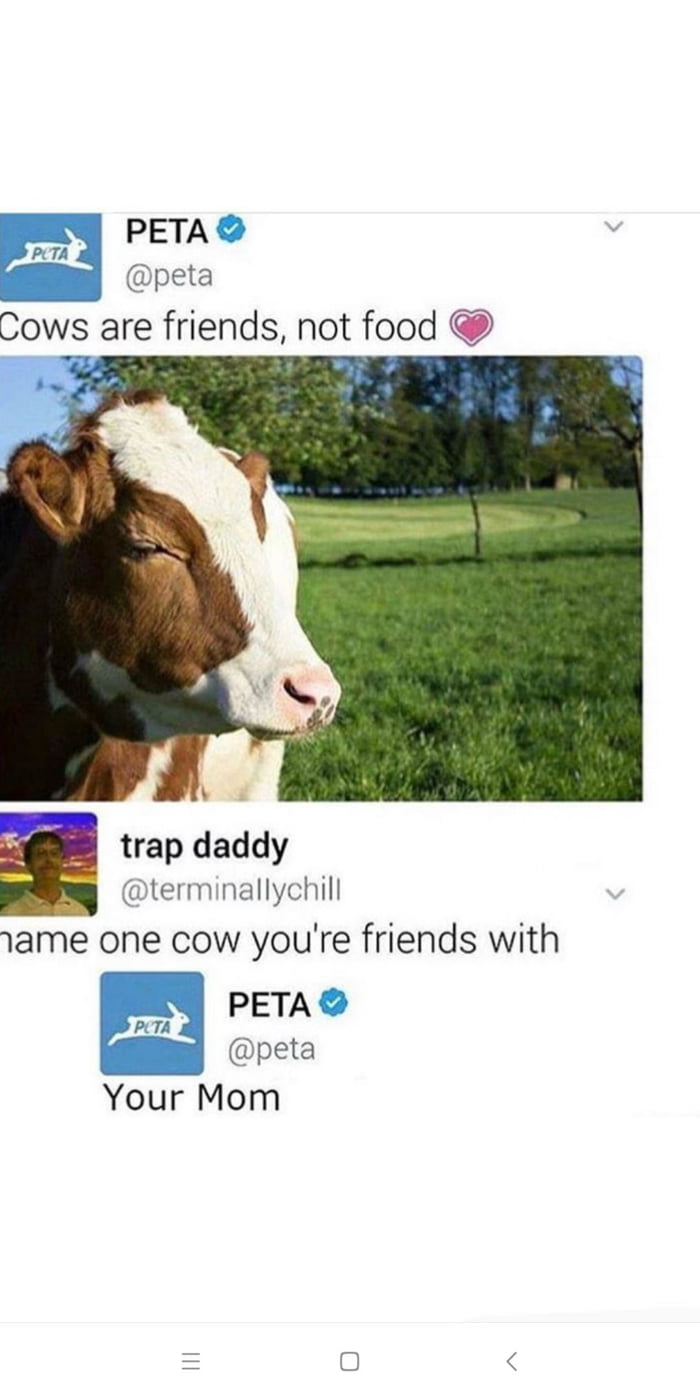 Do you have cow friends? - 9GAG