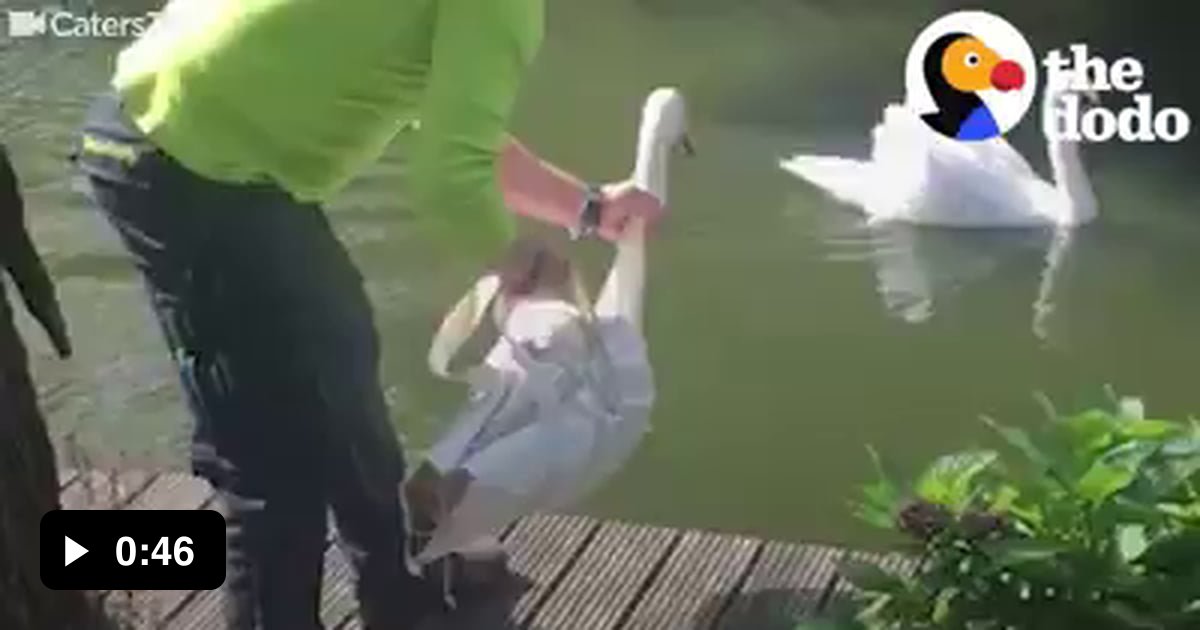 Mah heart mah soul - 9GAG