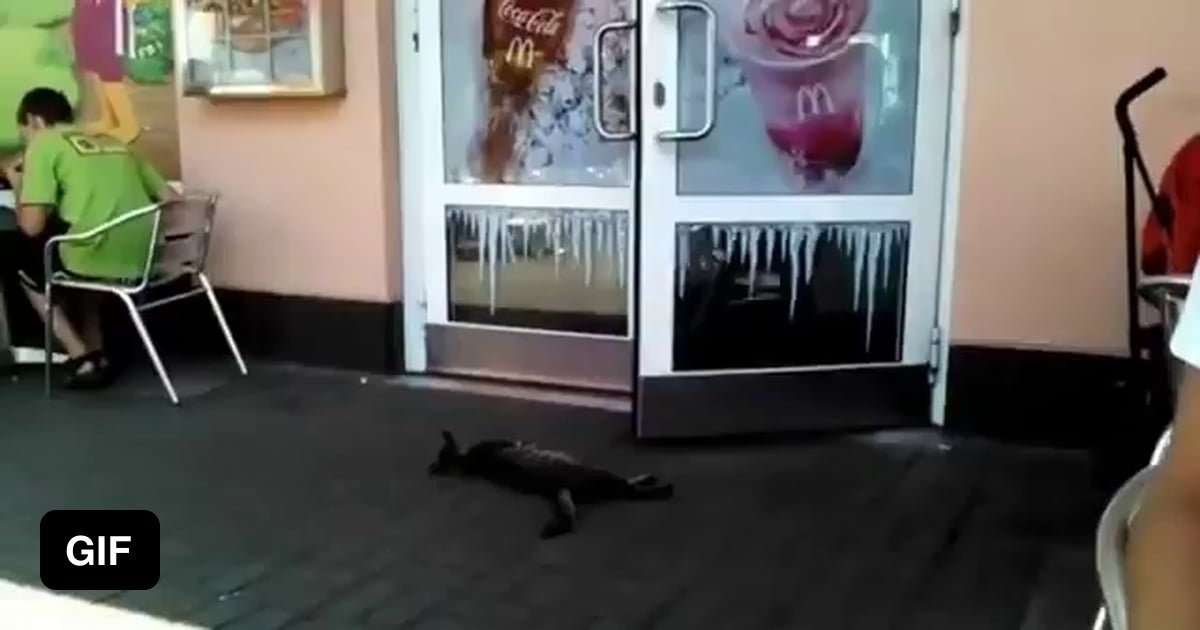 Let me lie down - 9GAG