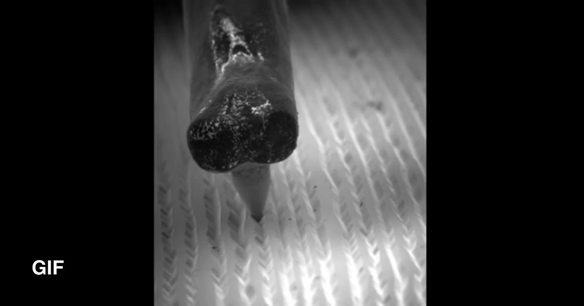 Electron microscope slow-motion video of gramophone needle on vinyl LP ...