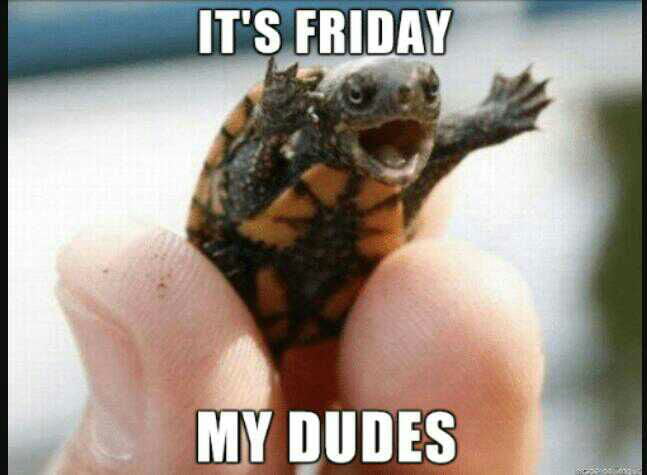 Its Friday My Dudes! - 9GAG
