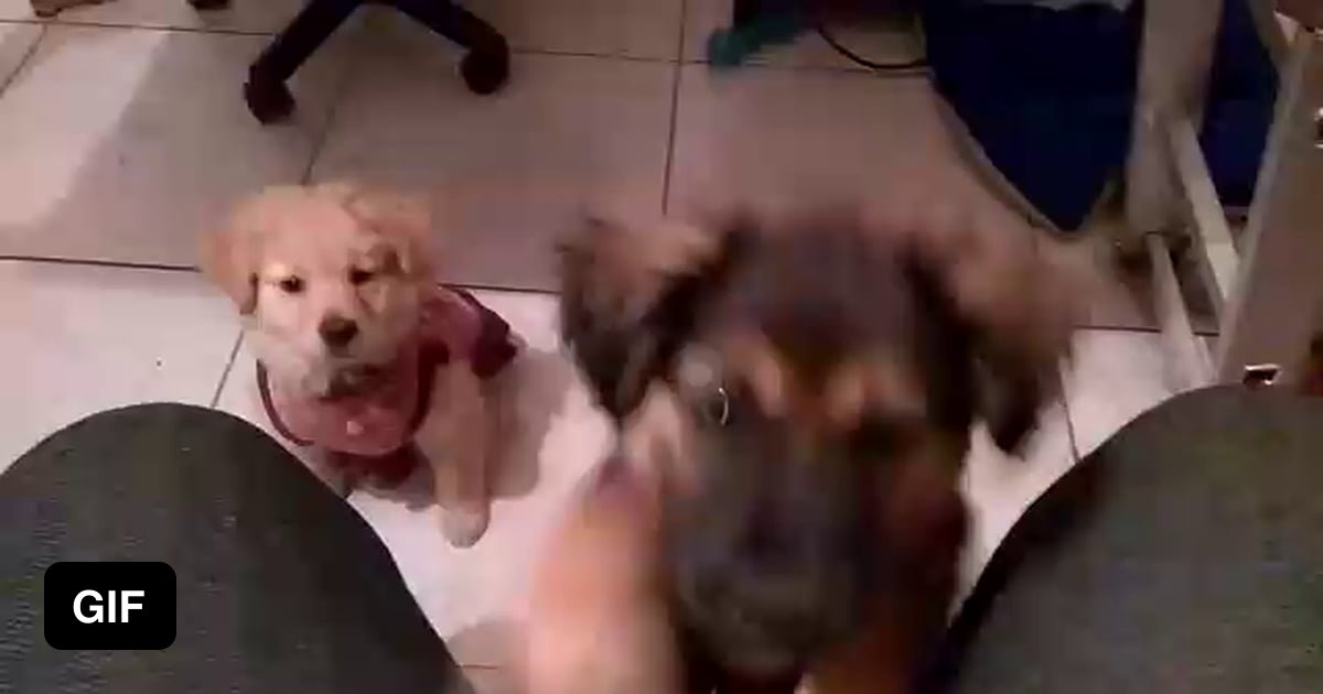 Move b*tch get out da way - 9GAG