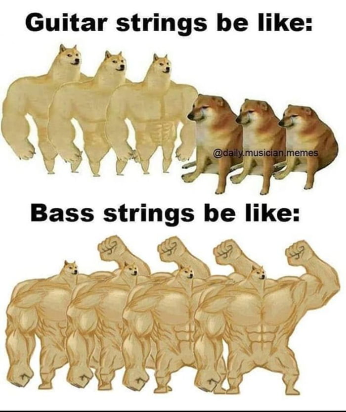 What do you call a drummer without a girlfriend? Homeless.. - 9GAG