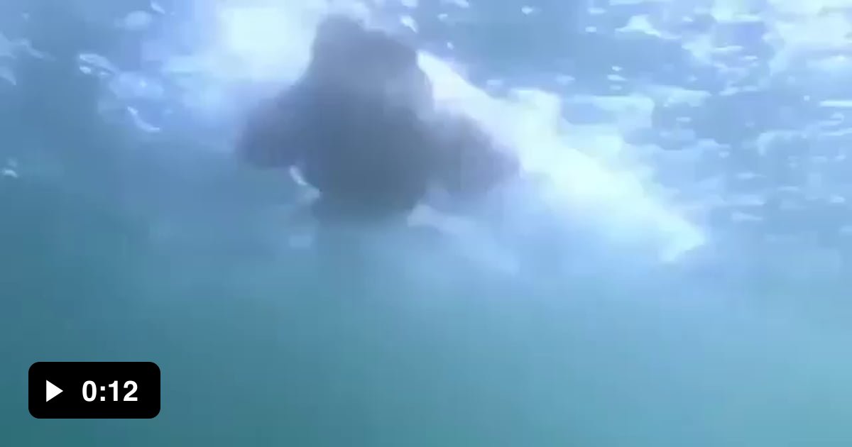 That's a nope fish - 9GAG