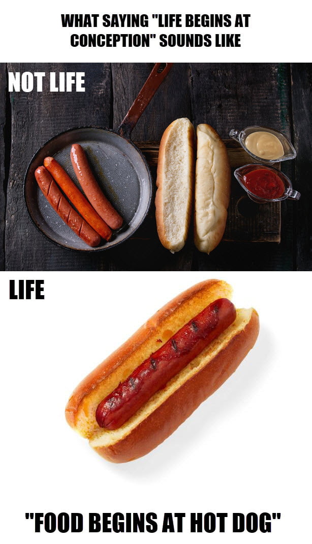 Life begins at conception - 9GAG